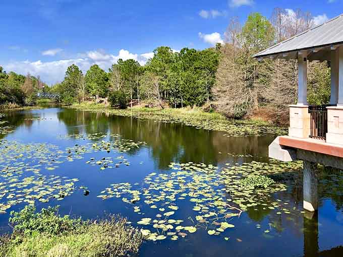 This lily pad-dotted pond looks like Monet decided to paint in three dimensions, complete with a gazebo that's basically begging for a marriage proposal or at least a really good selfie.