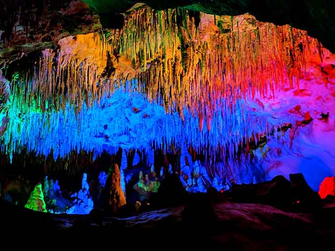Florida Caverns State Park proves that the Sunshine State's best secrets are hiding where the sun doesn't shine, literally.