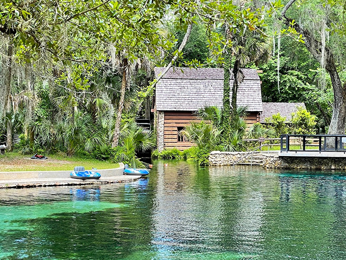 A rustic log cabin perched beside waters so blue-green they look Photoshopped. Mother Nature's showing off again at Juniper Springs.