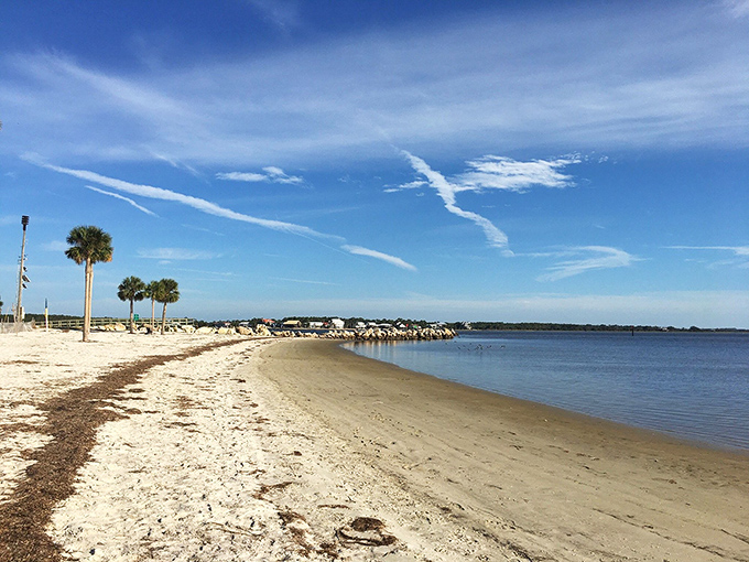 Pristine shoreline stretches into the distance, where palm trees stand sentinel against a brilliant blue Florida sky.