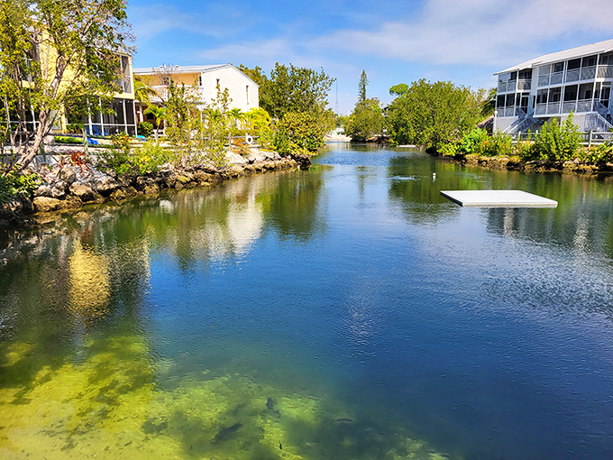 Crystal clear canals weave between waterfront homes, where fish dart beneath the surface and boats wait patiently for their next adventure.