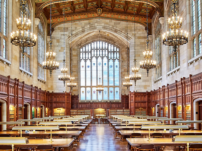 Step into this grand reading room and suddenly your tax return feels like an epic quest. Those chandeliers have witnessed more legal epiphanies than a judge's chambers.