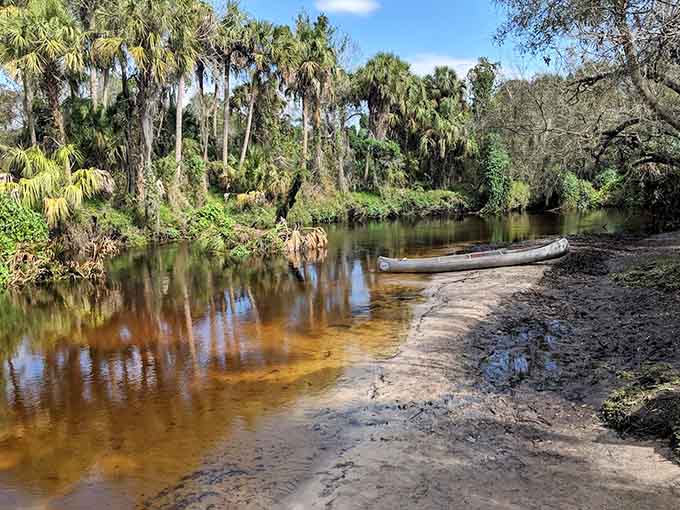 Little Manatee River State Park welcomes visitors to 2,433 acres of pristine Florida wilderness that feels like stepping back in time.
