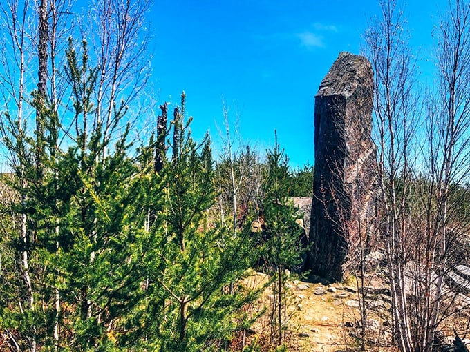 Nature's skyscraper stands tall among the pines, a 60-foot monument to geological forces that shaped our world billions of years ago.