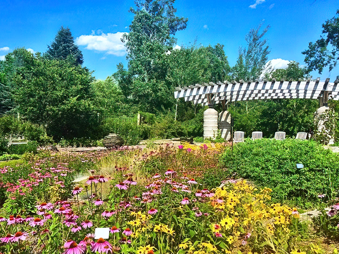 Nature's color palette explodes in this corner of Matthaei's outdoor gardens, where purple coneflowers and yellow black-eyed Susans create a Midwest symphony.
