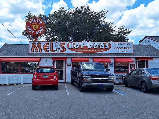 That iconic red and white exterior isn't just eye-catching, it's been a Tampa landmark since the '70s, like a delicious lighthouse guiding hungry souls to hot dog paradise.