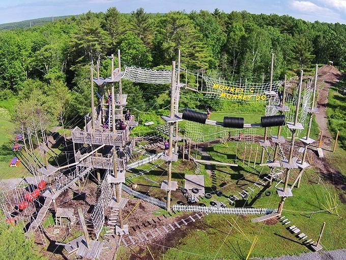 Welcome to Monkey C Monkey Do, where gravity is optional and laughter is mandatory. This aerial playground turns ordinary humans into tree-dwelling adventurers.