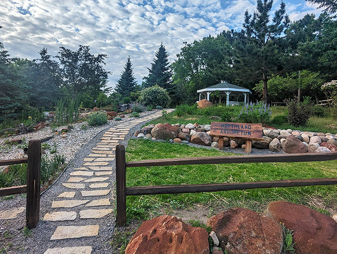 A winding stone path invites exploration through the Highland Arboretum, where nature's resilience transforms every step into a journey of discovery.