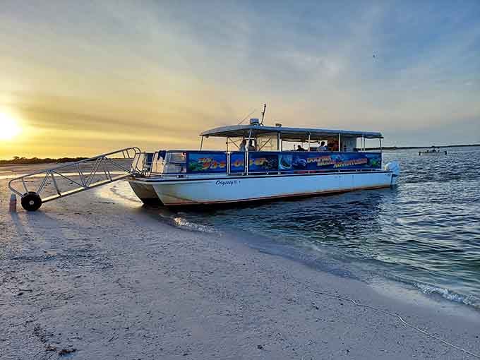 The Odyssey vessel looks ready to deliver passengers to shelling paradise, proving that the journey can be just as comfortable as the destination.