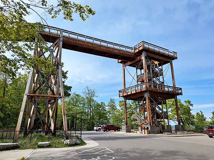 The Eagle Tower rises like a wooden skyscraper, proving that sometimes the best views require a little elevation and a lot of engineering genius.