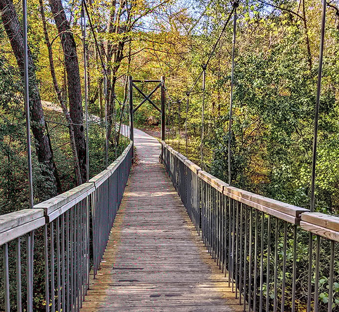 This suspension bridge knows exactly what it's doing, offering tree-canopy views and that slight sway that makes crossing feel like adventure.