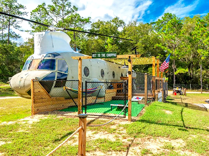 The mighty Chinook helicopter stands proudly in its Florida forest retirement home, ready for guests instead of missions.