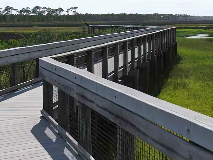 A wooden boardwalk zigzags through coastal marshlands, offering visitors an intimate glimpse of Florida's delicate ecosystems.