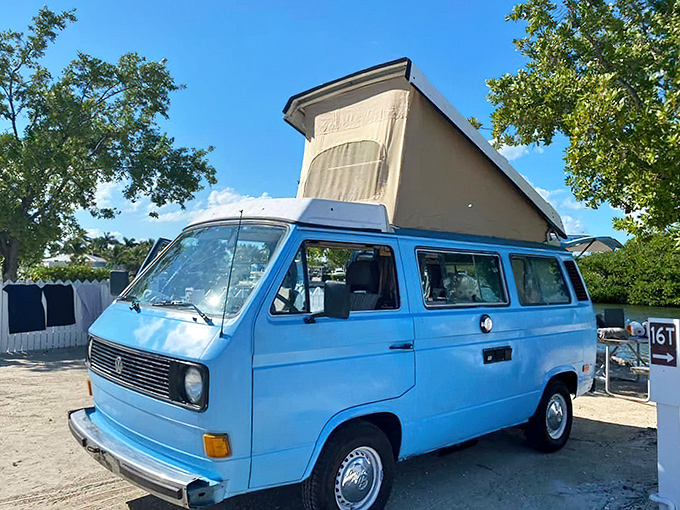 Midnight comfort in a mobile living room &ndash; this sleek blue VW proves that style and practicality can coexist beautifully.