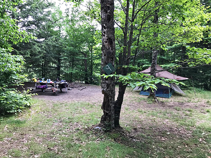 A rustic campground nestled among towering pines offers weary adventurers a place to rest and dream of tomorrow's waterfall discoveries.