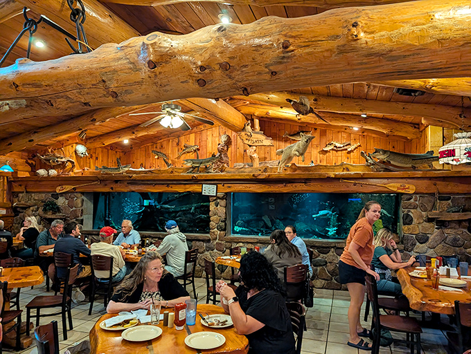 Happy diners enjoying hearty meals while native Wisconsin fish swim by, creating that rare "dinner and a show" where the show is just fish being fish.