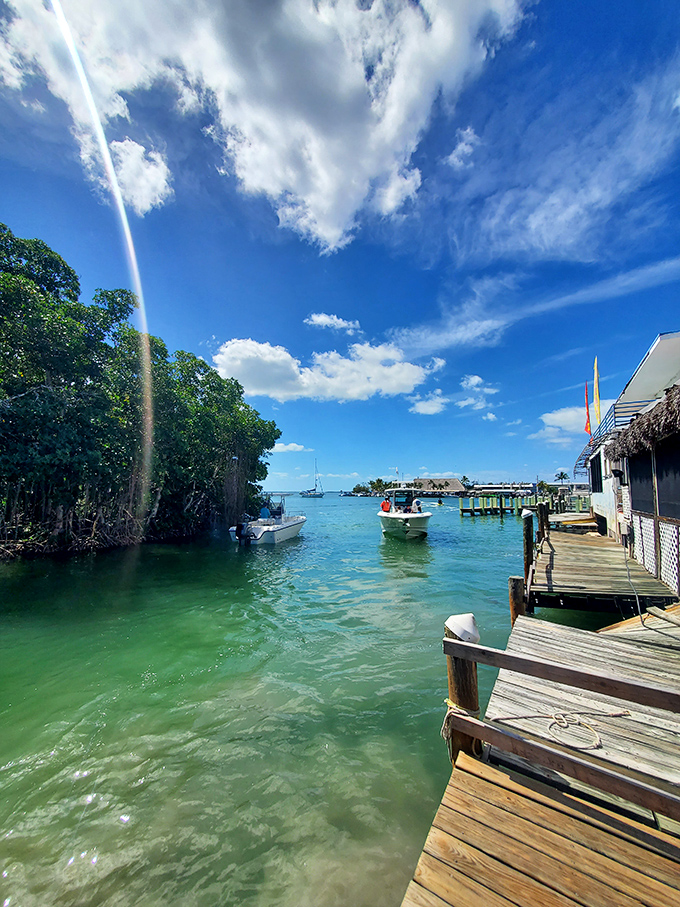Local boats navigate the emerald channel waters, where mangroves stand guard and adventures begin with the turn of a key.