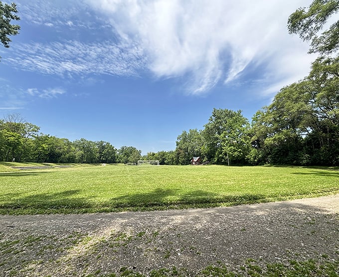 Frog Island Park presents an expansive green space where locals gather, play, and connect with nature right in town.
