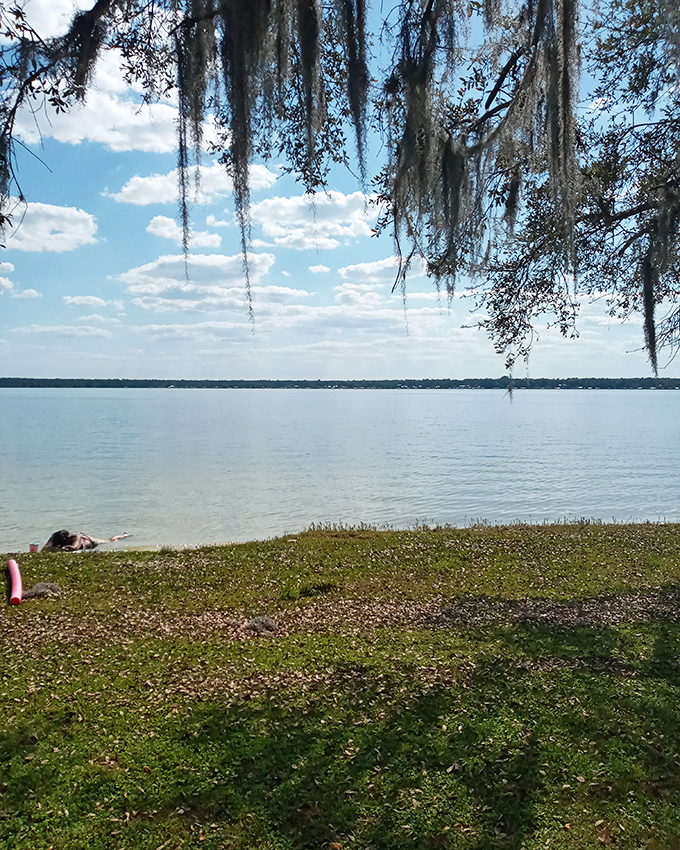 Spanish moss dangles like nature's curtains, framing a view that no five-star resort could possibly improve upon.