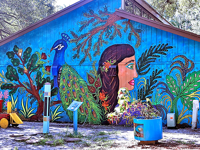 Vibrant murals celebrate Florida's natural heritage with colors so bright they make your sunglasses work overtime. That peacock seems to approve!
