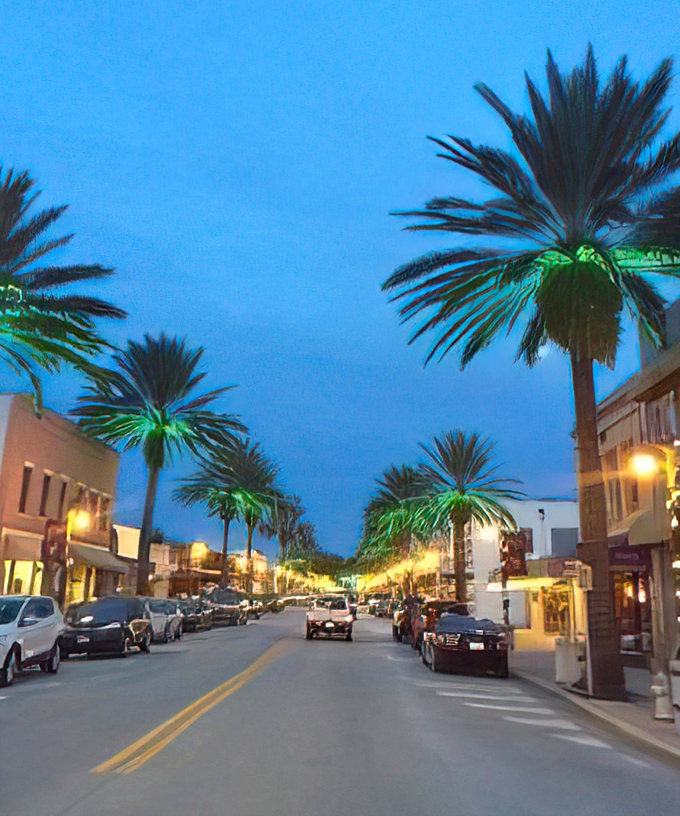 Palm trees illuminated against the twilight sky create nature's light show along the historic downtown corridor.