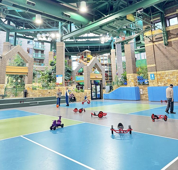A vast blue playground where children zoom about while parents secretly wish adult-sized tricycles were socially acceptable.