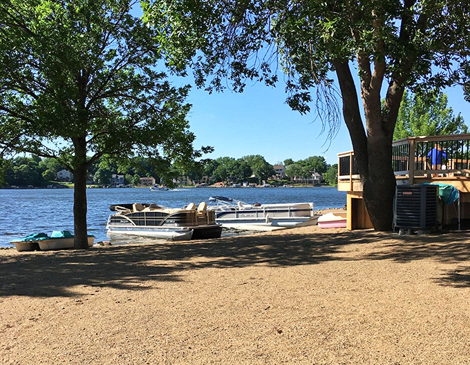 Towering trees create a natural canopy, their leaves whispering secrets of island life to those who pause to listen.