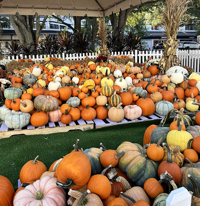 Fall brings a kaleidoscope of pumpkins to the village, creating an autumnal wonderland that proves Florida can do seasons &ndash; just with more sunshine and fewer sweaters.