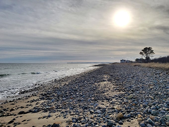 Golden hour transforms ordinary rocks into extraordinary treasures, their shadows stretching like nature's sundials across the beach.