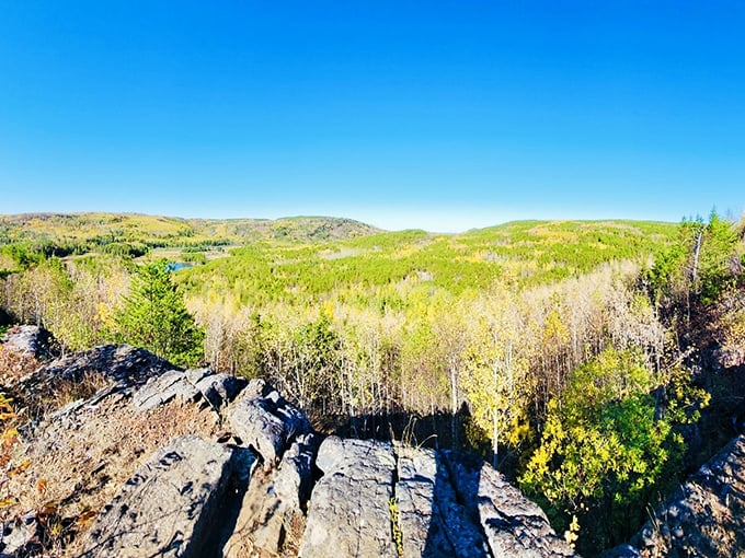 A patchwork quilt of greens and blues stretches to the horizon, showcasing Minnesota's breathtaking wilderness from a rocky perch.