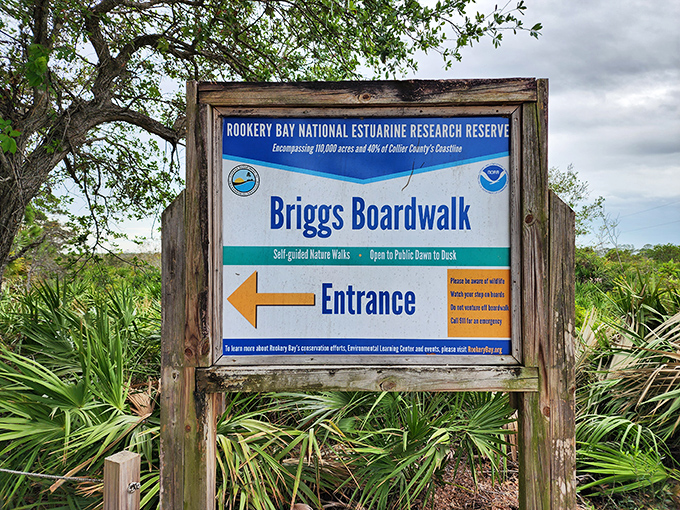 The official welcome sign stands like a passport control between everyday life and wild Florida adventures.