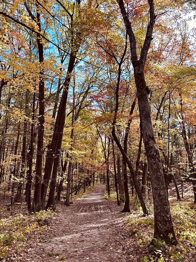Fall foliage transforms the trail into a golden corridor &ndash; nature's perfect timing for your visit.