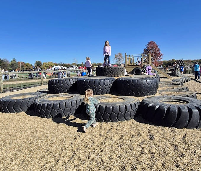Tire climbing structures challenge kids to navigate rubber obstacles while parents wonder if their own childhood playgrounds were this creatively designed.
