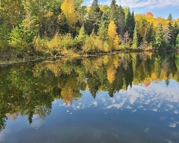 Upper Red Lake stretches wide and peaceful, offering a completely different aquatic experience just steps from the mysterious bog.