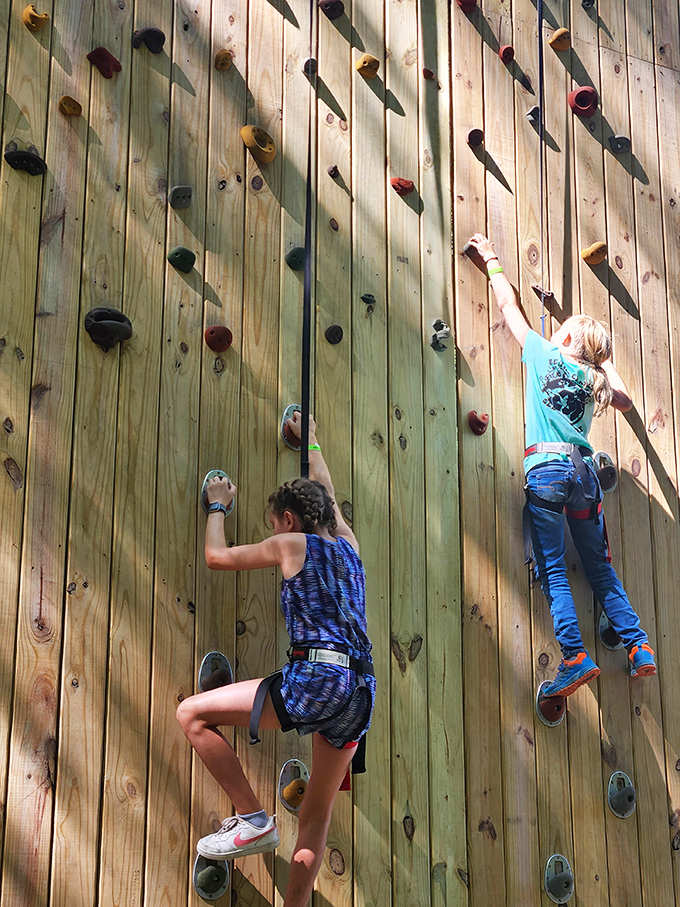 Young climbers scaling new heights, proving that determination comes in all sizes and conquering fears creates the best kind of confidence.