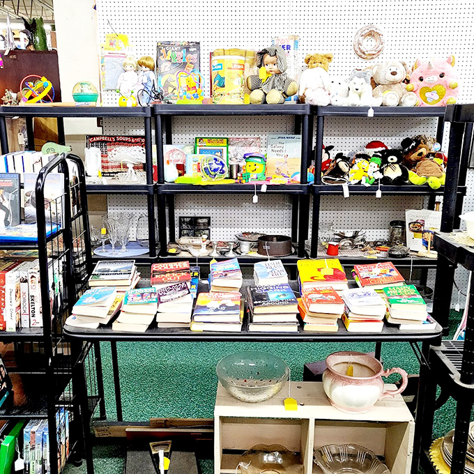 Books and teddy bears: childhood companions that never betrayed your secrets. That stuffed bear has seen things, but he's not telling.