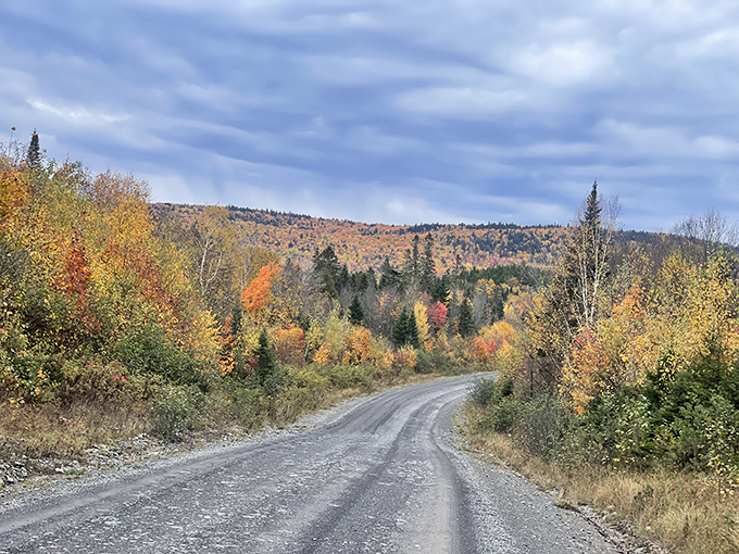Fall paints the North Maine Woods in a palette that would make Monet jealous – nature's annual art show that transforms every winding road.
