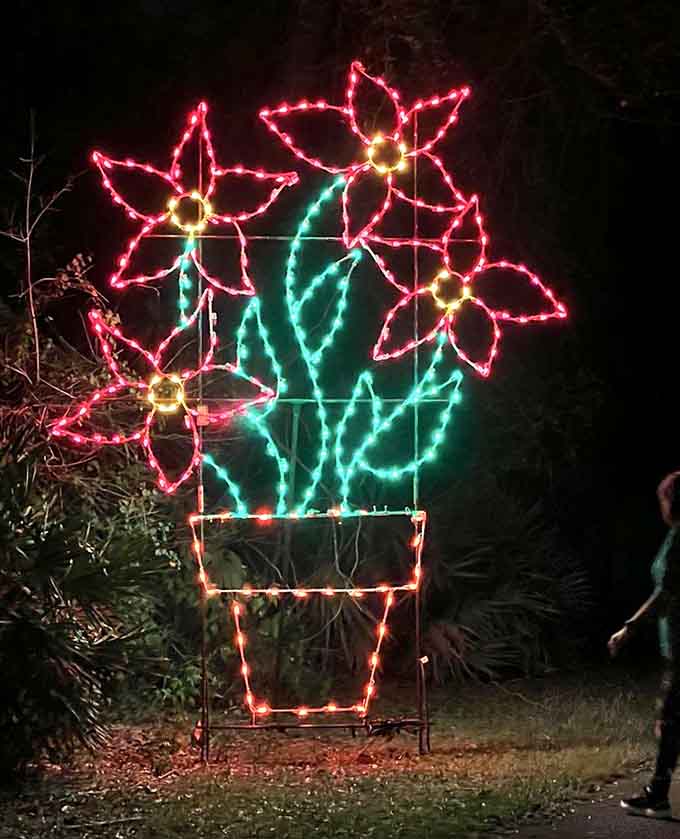 These glowing flowers bloom year-round in this magical garden, unbothered by seasons or the laws of botany.