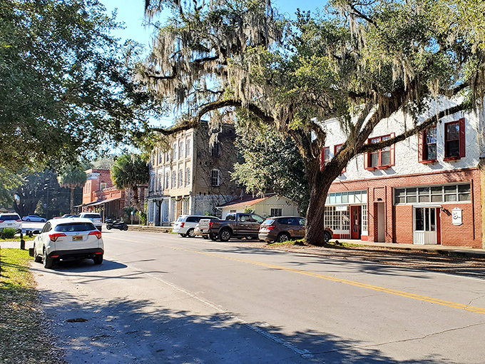 Micanopy's main street invites leisurely strolls under the watchful gaze of ancient oaks draped in Spanish moss.