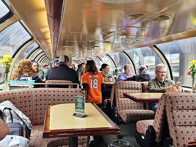 Strangers become temporary travel companions in the observation car, united by spectacular views and the shared joy of discovery.