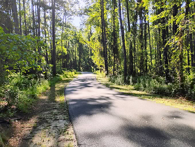 Paved paradise, but in a good way: Smooth trails welcome cyclists, strollers, and wheelchair users to experience Florida's wild beauty.