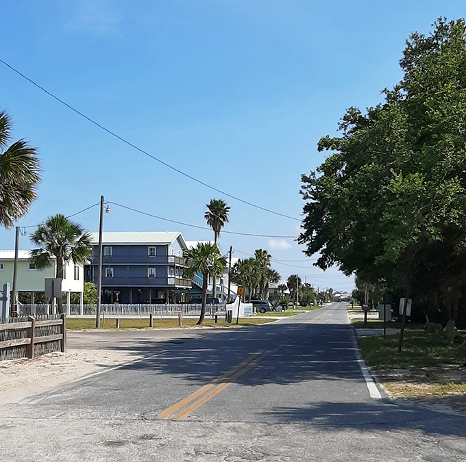 Palm-lined streets whisper of old Florida charm, where coastal living moves at its own unhurried, delightful pace.