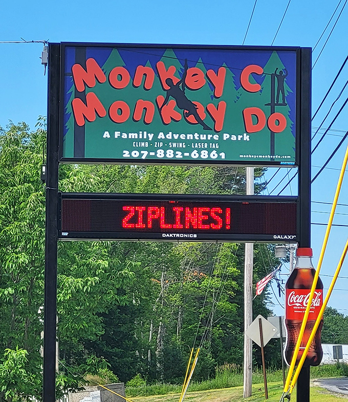 The sign that promises adventure and delivers on every syllable. Those flashing "ZIPLINES!" letters speak directly to your inner thrill-seeker.