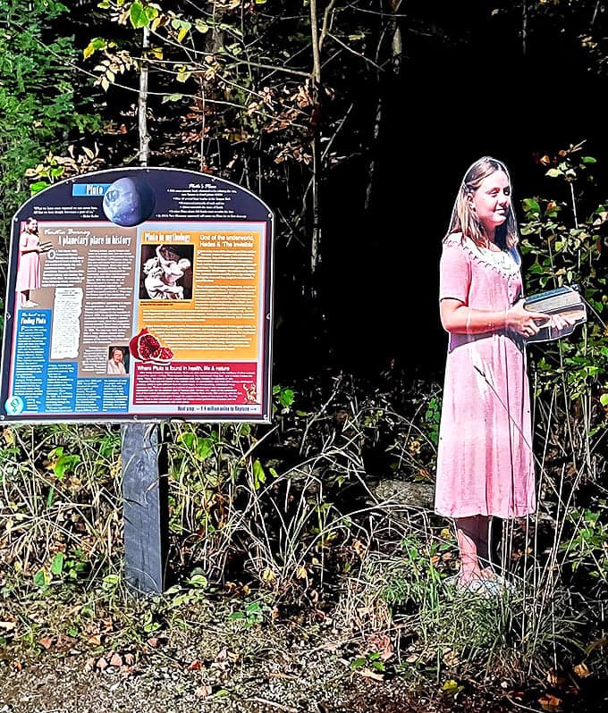 Educational displays throughout the park help visitors understand what they're seeing above, turning stargazing into a learning adventure.