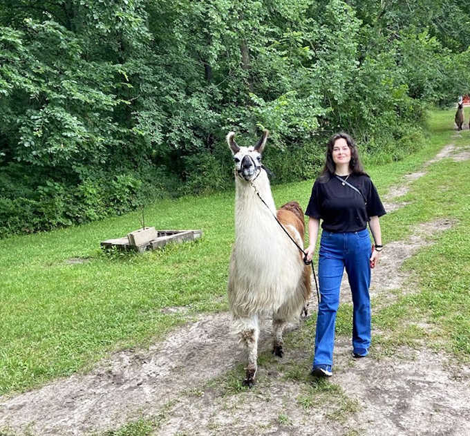 The ultimate walking buddy doesn't cancel plans, always listens attentively, and rocks a natural fur coat better than any fashion designer could dream up.