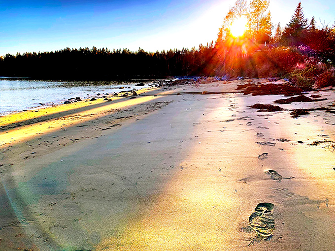 Follow these footprints to discover hidden coves and tidal treasures along Maine's magnificent shoreline.