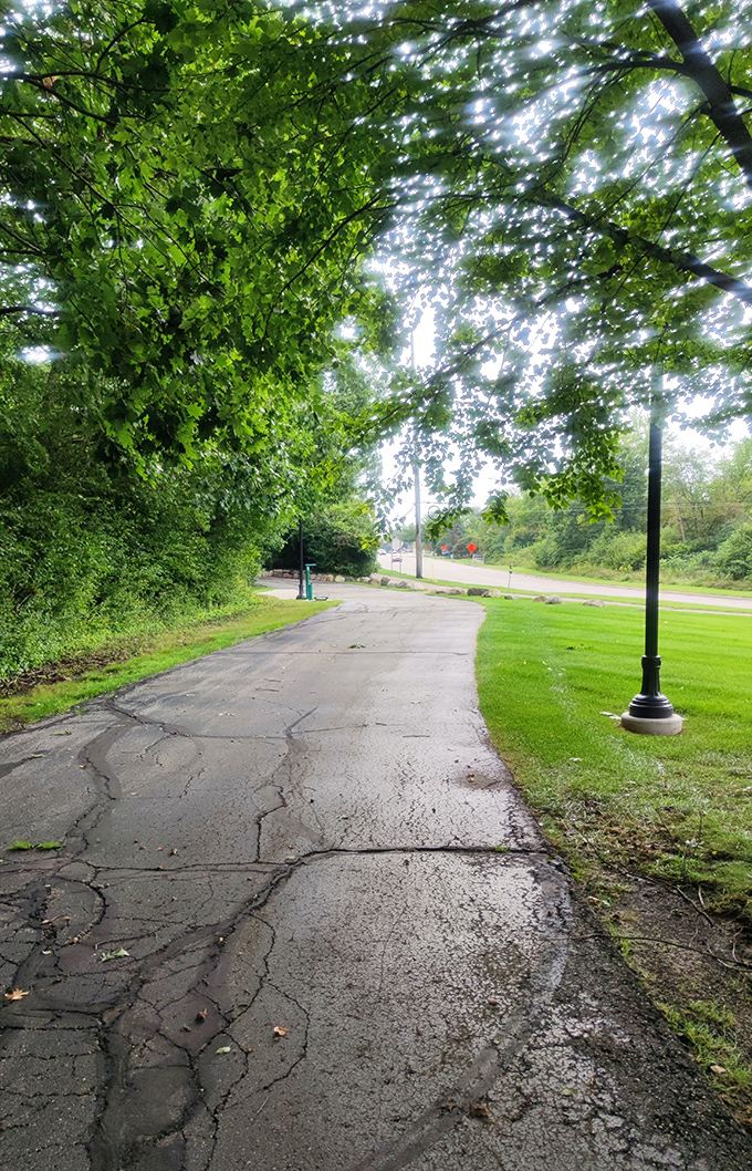 The Border-to-Border Trail winds through lush greenery, offering a peaceful escape for walkers and cyclists just steps from urban life.