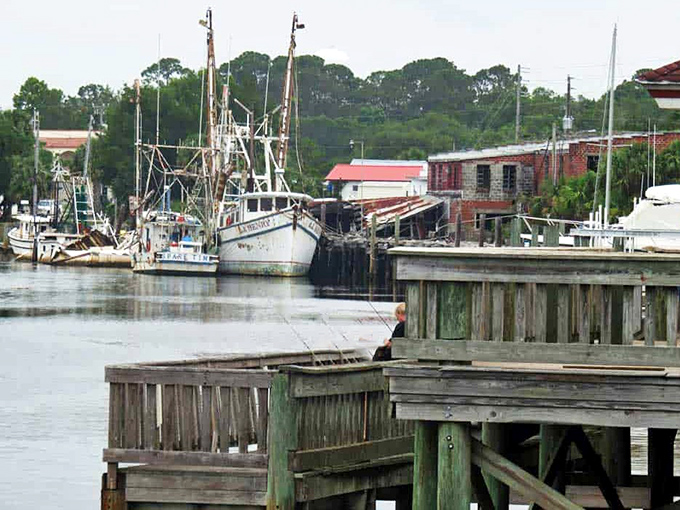 Working fishing boats line the harbor in Apalachicola, where the day's fresh catch will soon become someone's unforgettable dinner.
