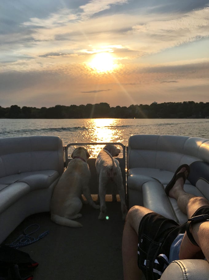 Furry friends enjoy sunset cruises too, proving paradise is best when shared with all family members.