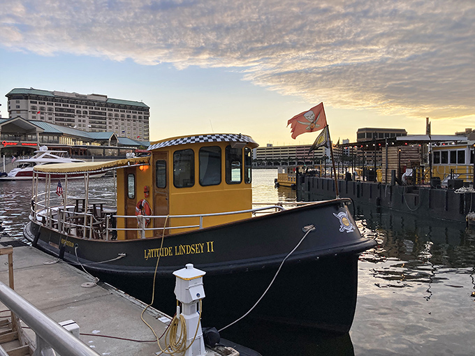 The Latitude Lindsey II waits patiently for its next adventure, like a faithful golden retriever ready for a walk. Nautical charm with a splash of nostalgia.
